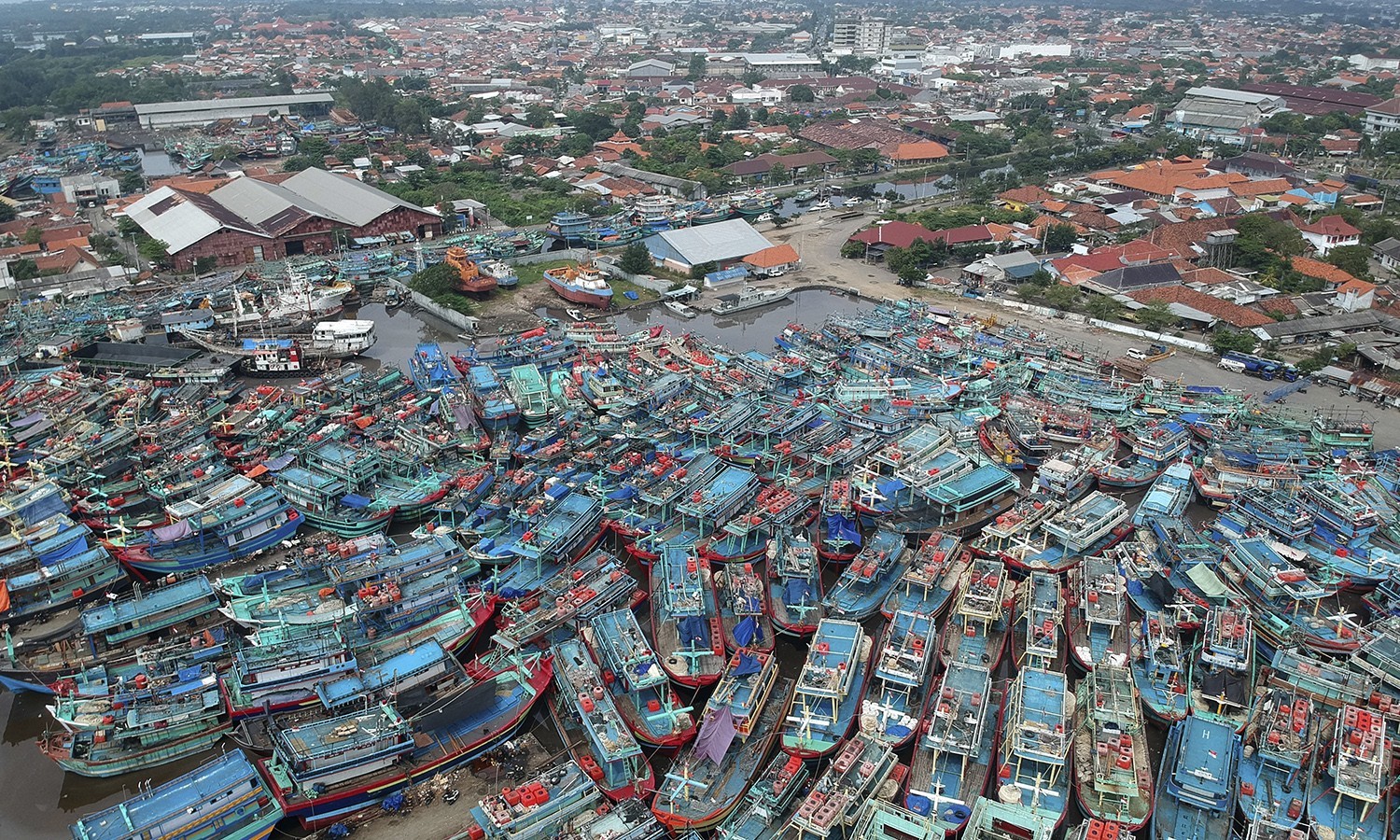 LIPI Dorong Penguatan Vokasi Perikanan Di Wilayah Pesisir