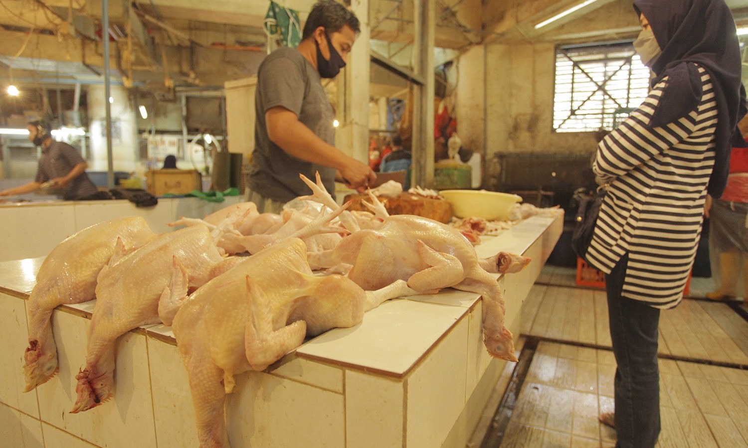 Pinsar: Tiga Masalah Membelit Industri Perunggasan