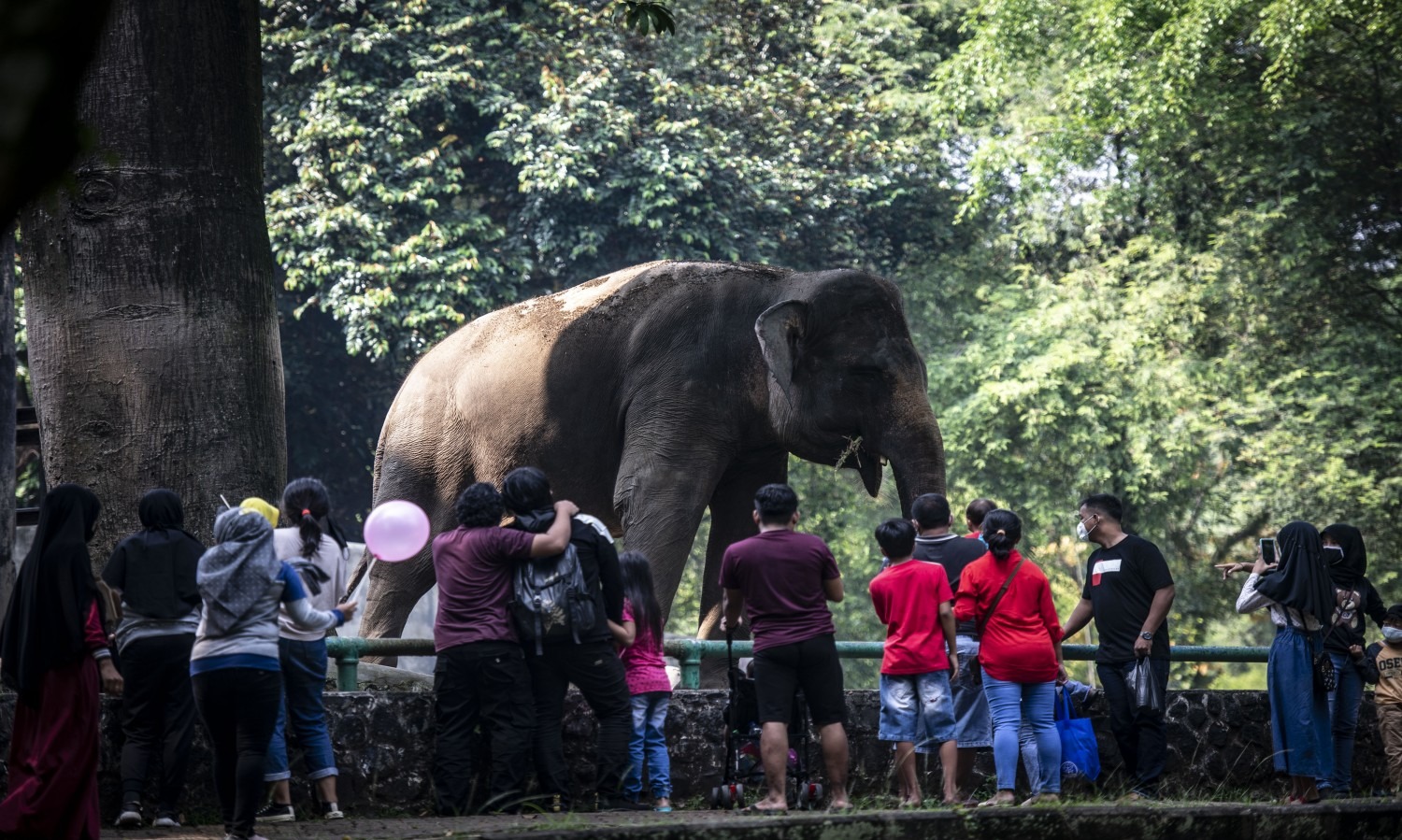 Hari Pertama Dibuka, Ribuan Pengunjung Padati Ragunan