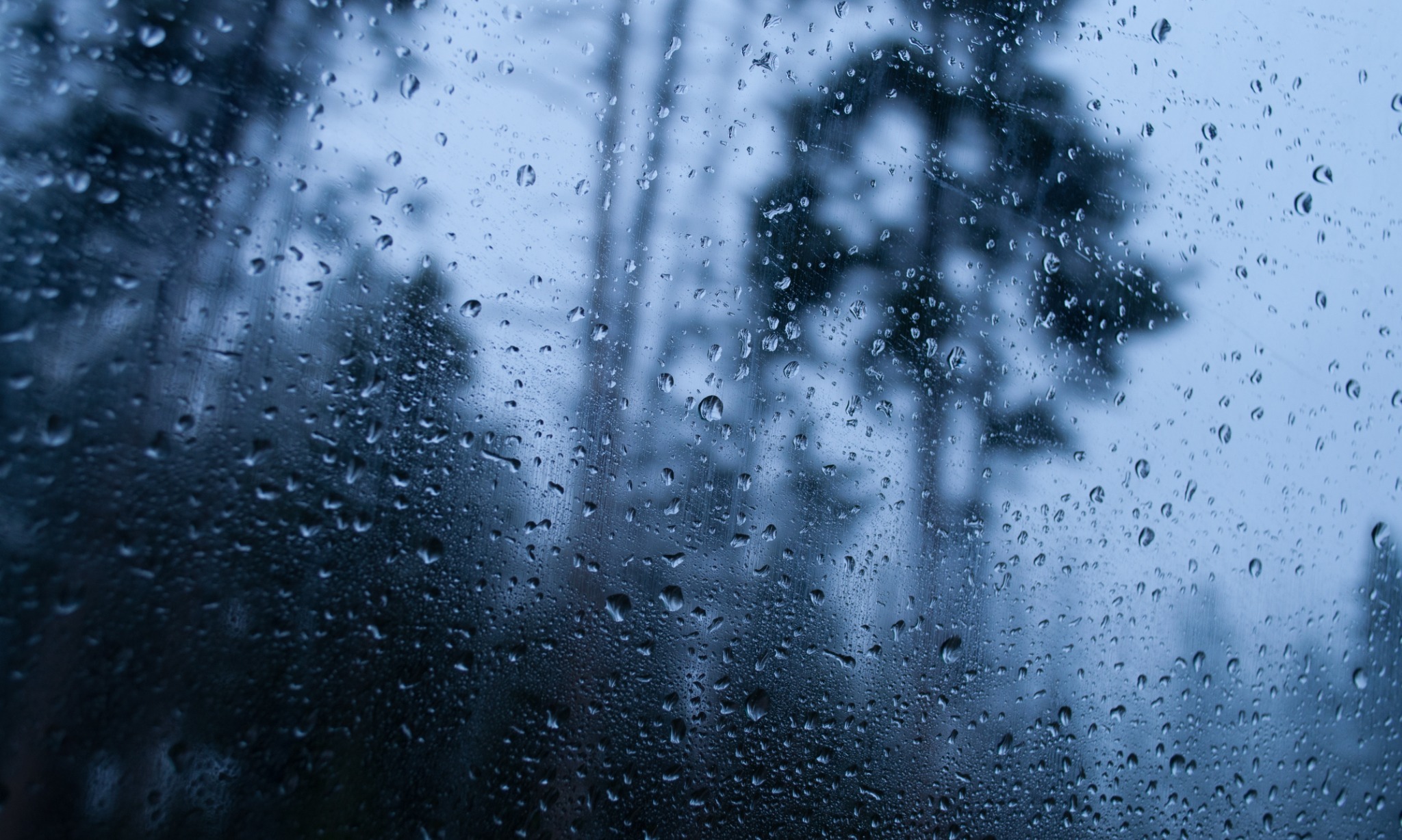 Tips Hilangkan Embun Kaca Mobil Saat Hujan