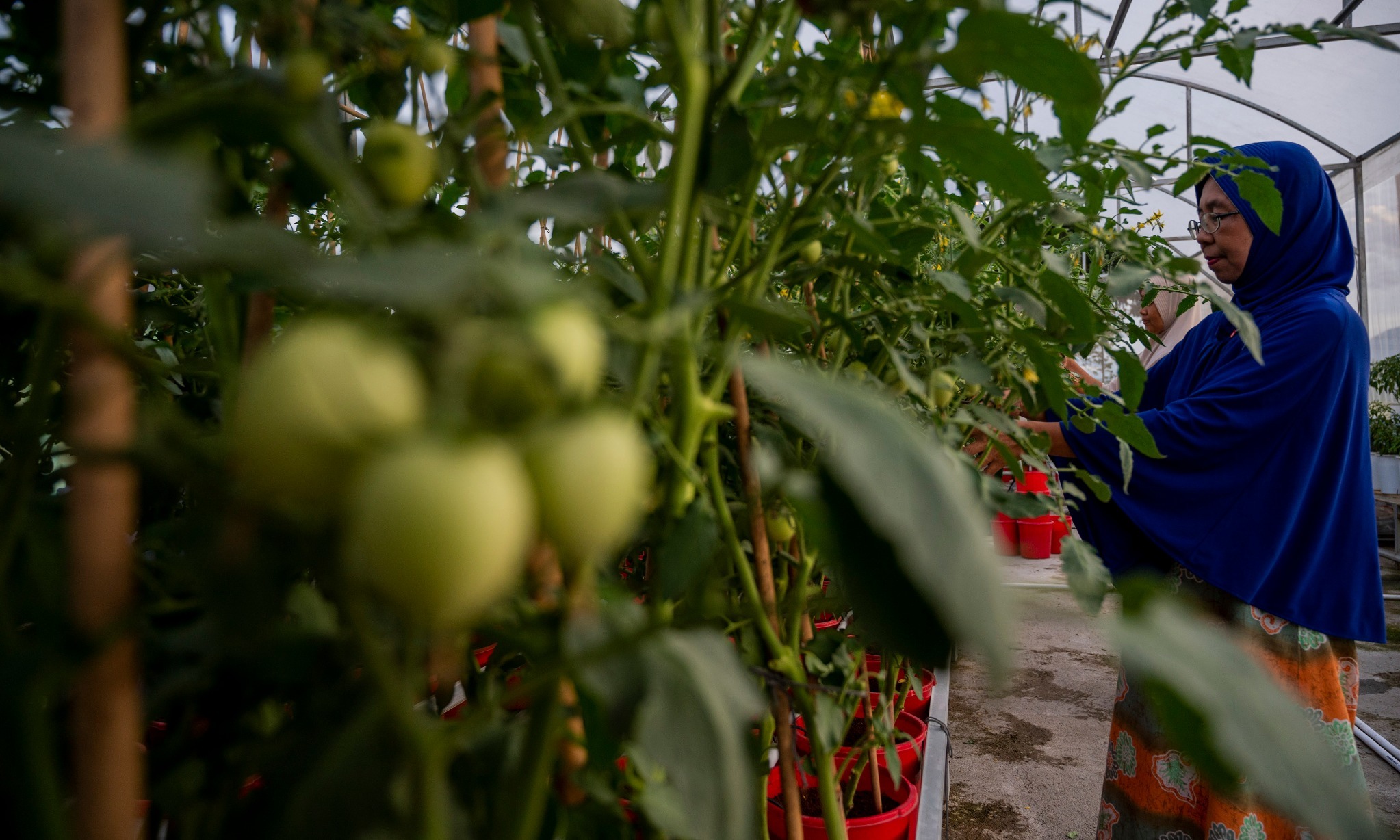 Berbagai Produk Pertanian Indonesia Diminati Afrika Barat