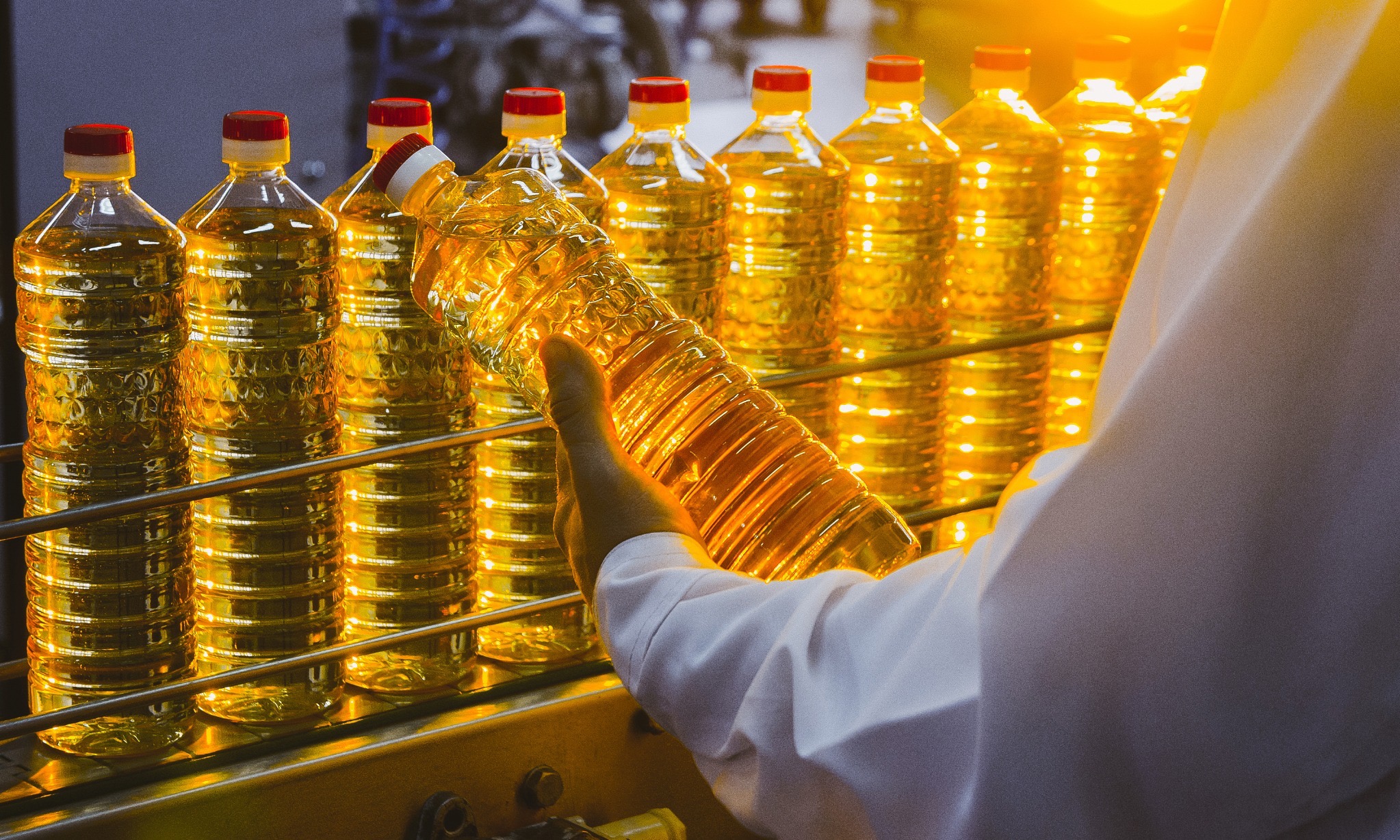 Minta Keterangan, KPPU Mulai Panggil Produsen Minyak Goreng