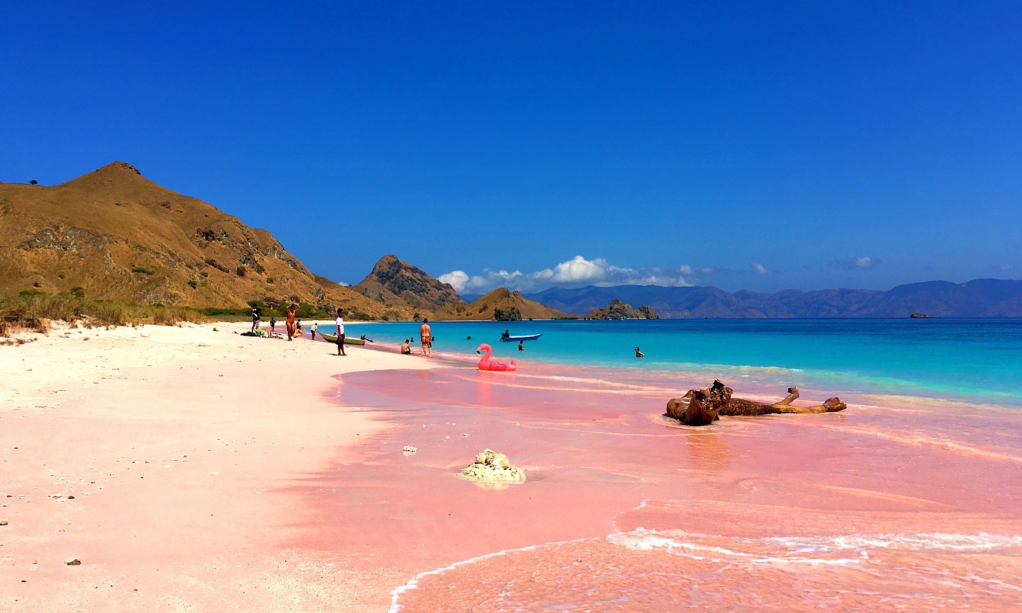 Menikmati Eksotisme Pantai Pink Di Lombok Timur