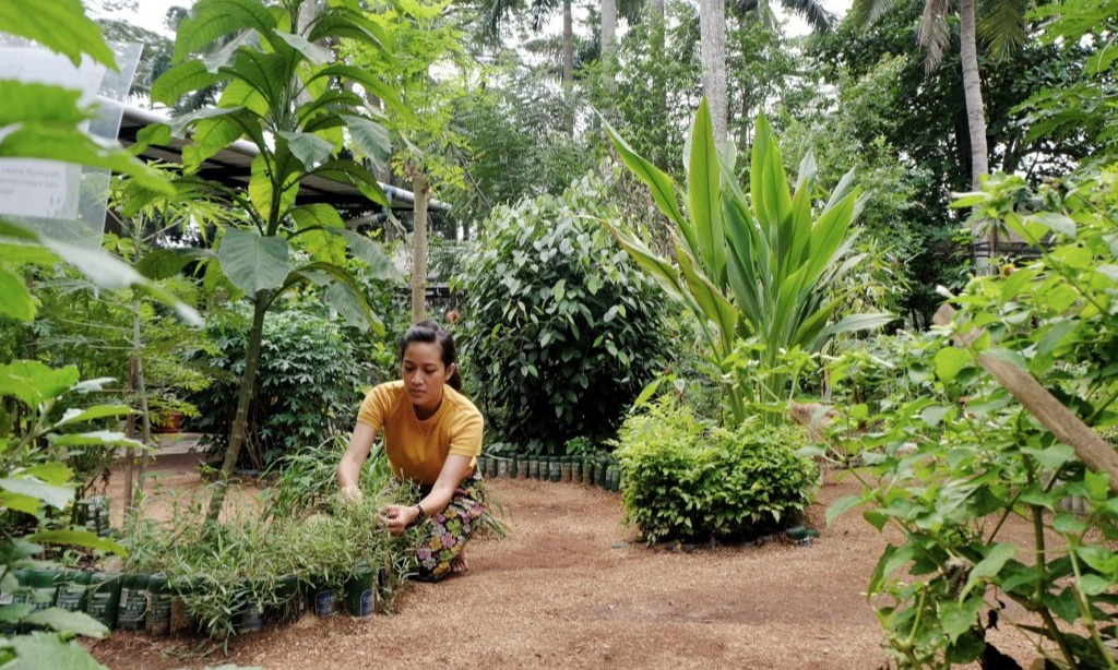Upaya Kebun Kumara Tingkatkan Ruang Terbuka Hijau Di Perkotaan