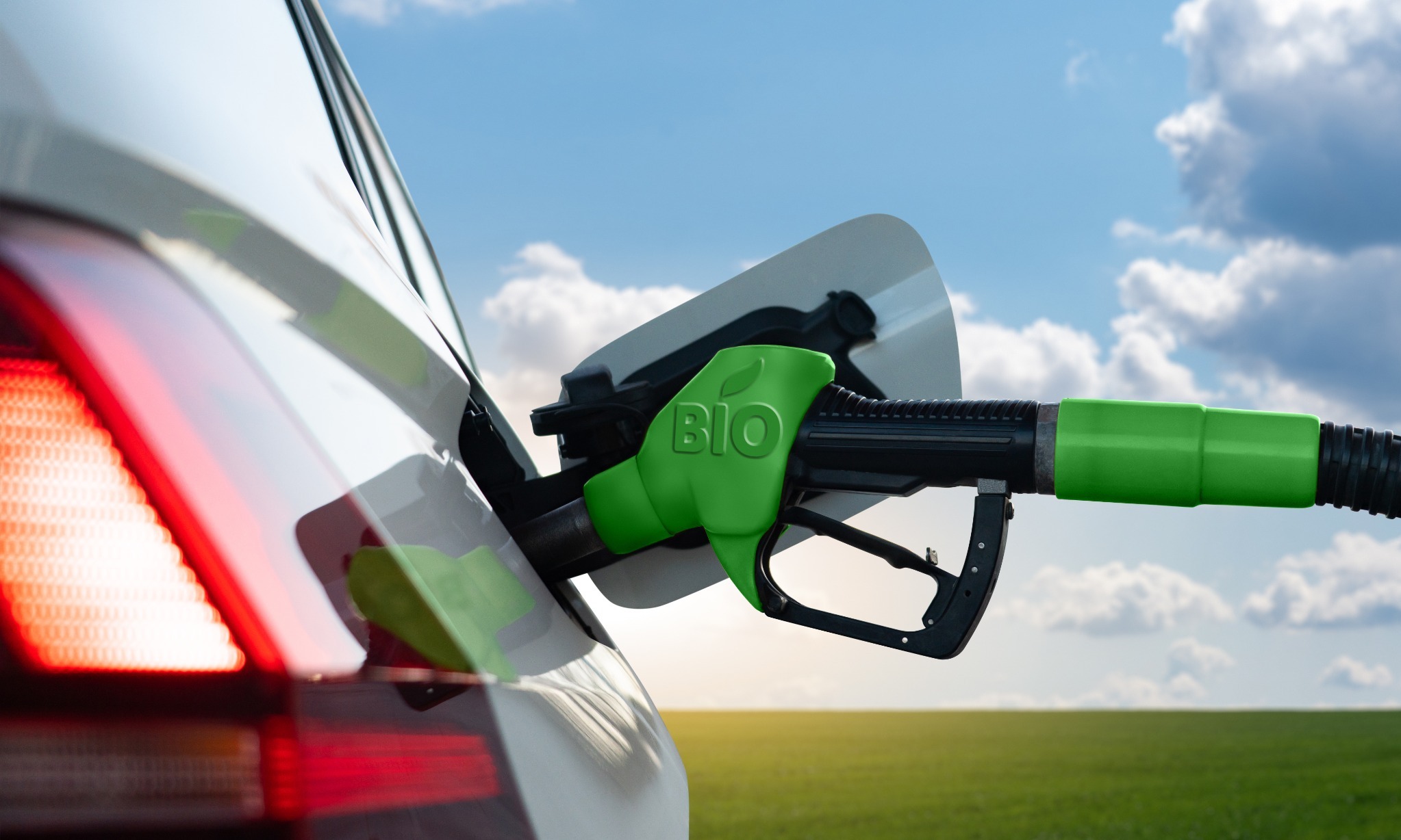 Apa Itu Biosolar Dan Energi Bio?