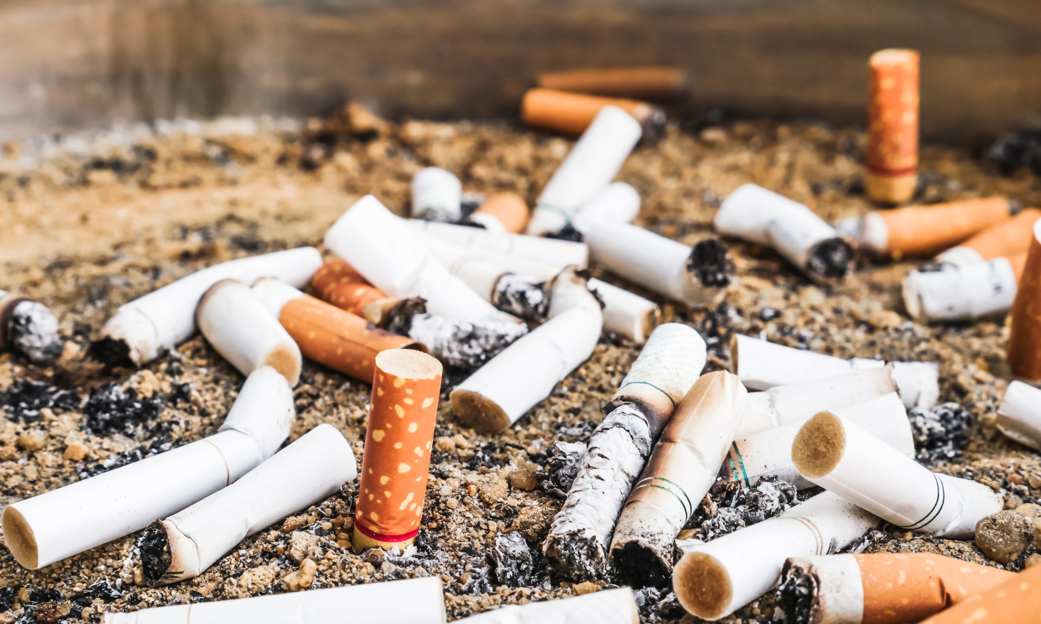 Telisik Fakta Di Balik Zat Nikotin