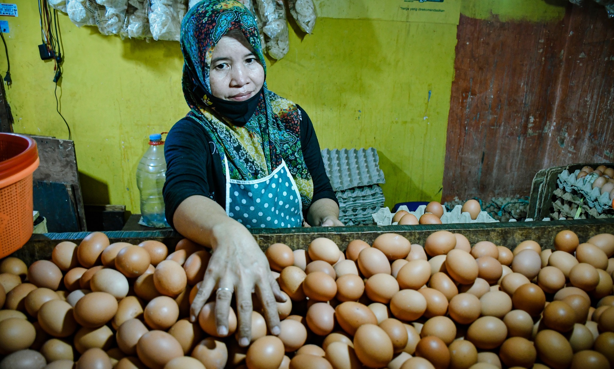 Harga Telur Ayam Ras di Tingkat Eceran Sudah Turun