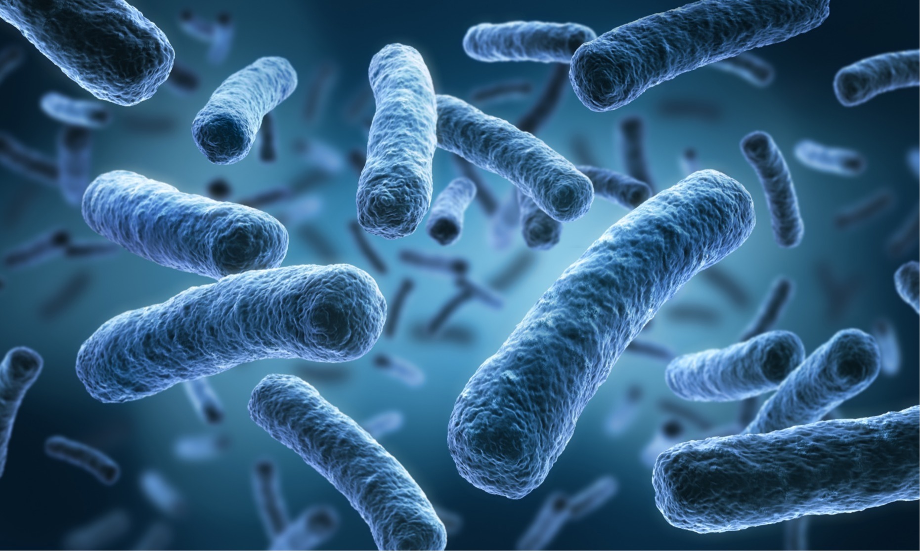 Waspadai Penularan Legionellosis Yang Menyerang Pernapasan