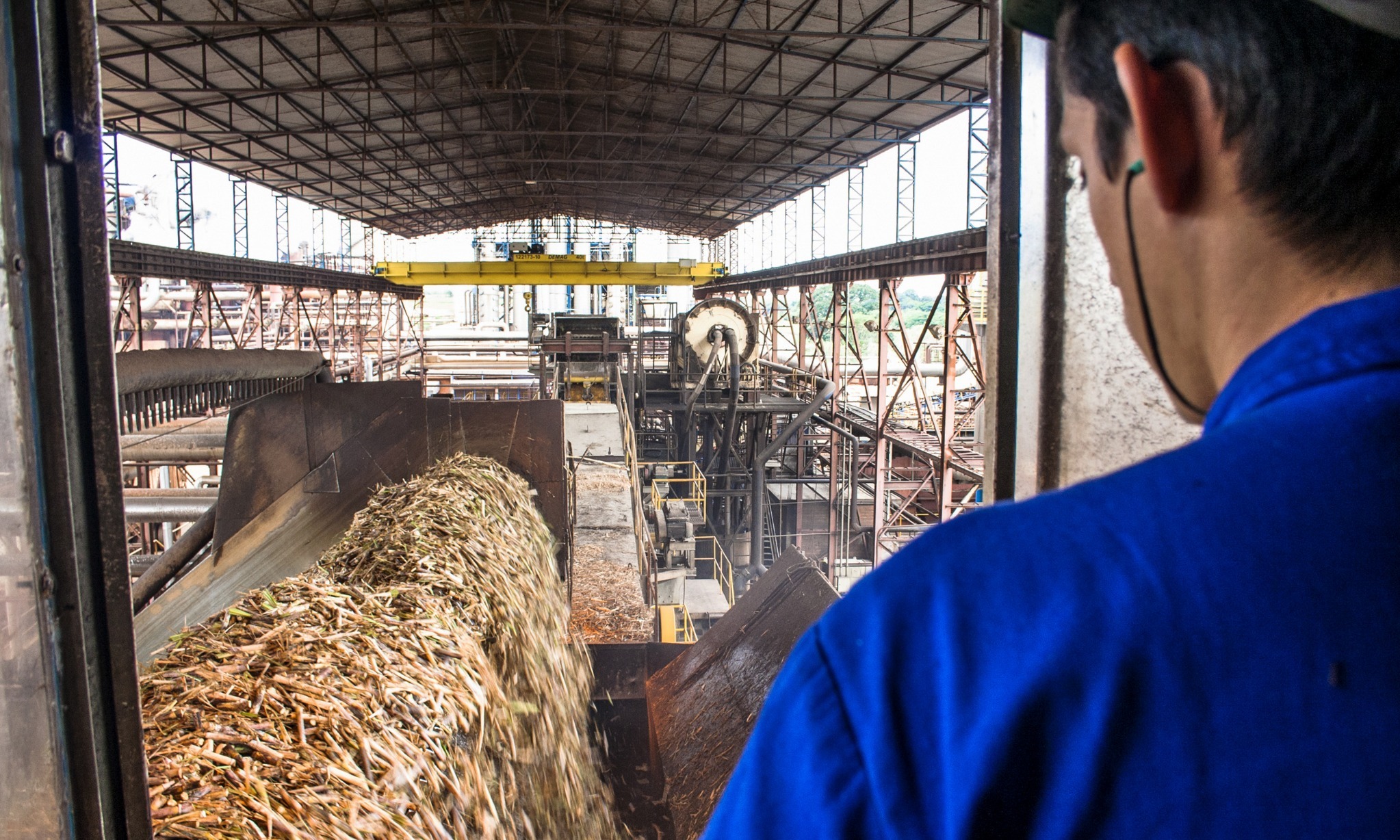 Kelebihan Tebu Sebagai Bahan Baku Bioetanol