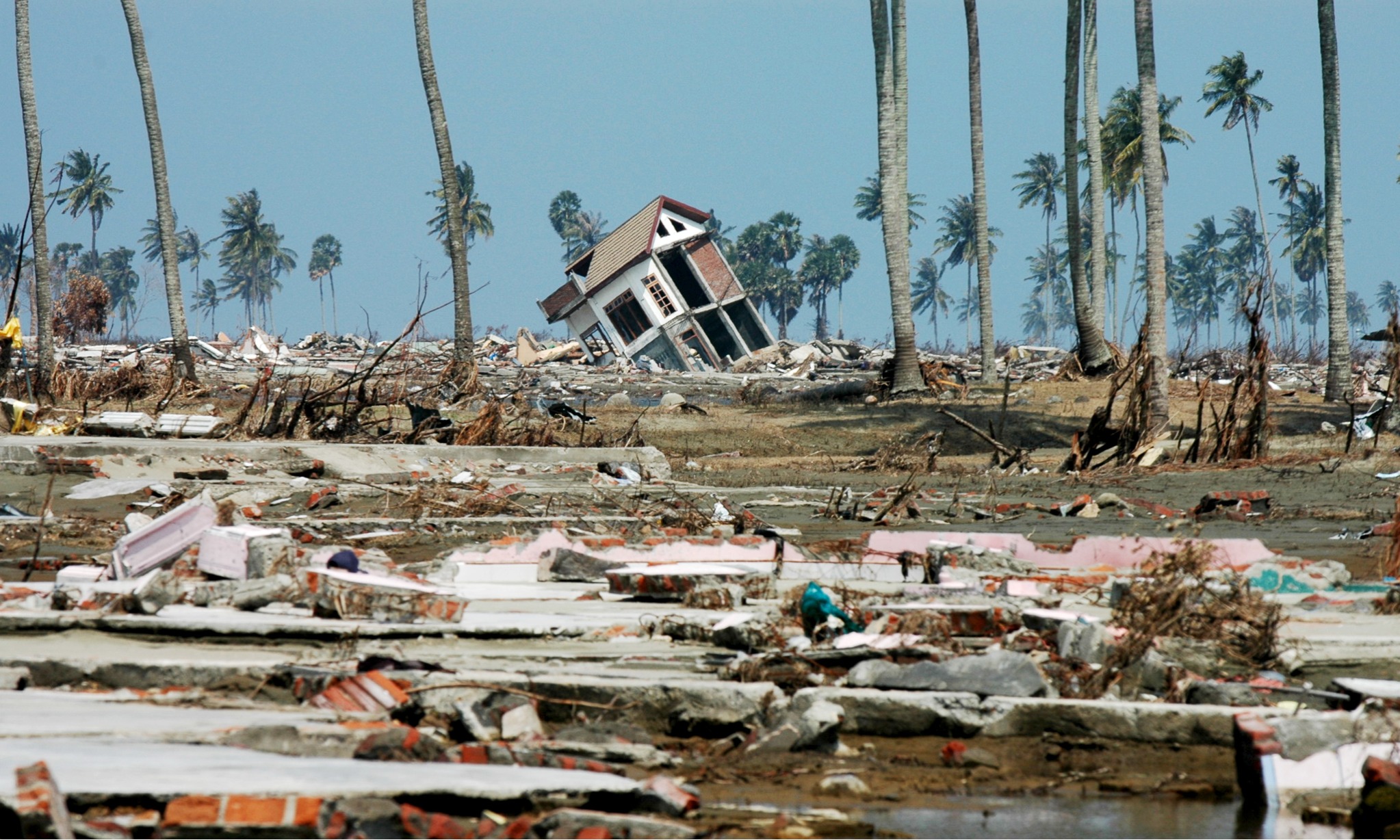 Evakuasi, Upaya Mitigasi Saat Gempa Megathrust