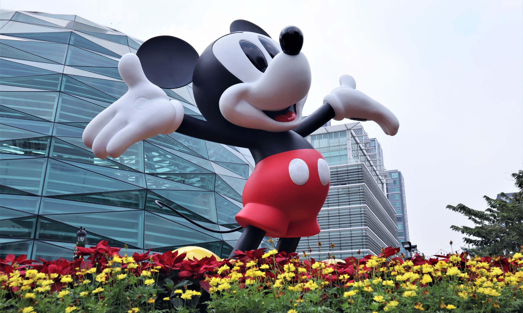 Rahasia di Balik Sarung Tangan Mickey Mouse