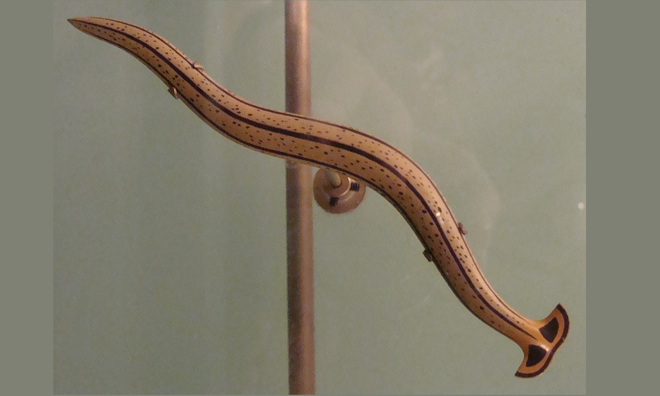 Cacing Kepala Martil, Predator Invasif Tanah Yang Kanibal