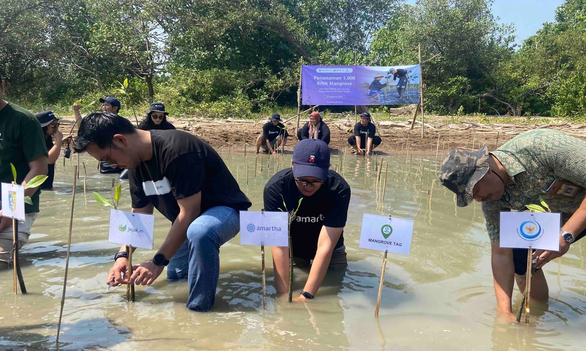Jejakin X Amartha Hijaukan Kembali Mangrove Pantai Morodemak