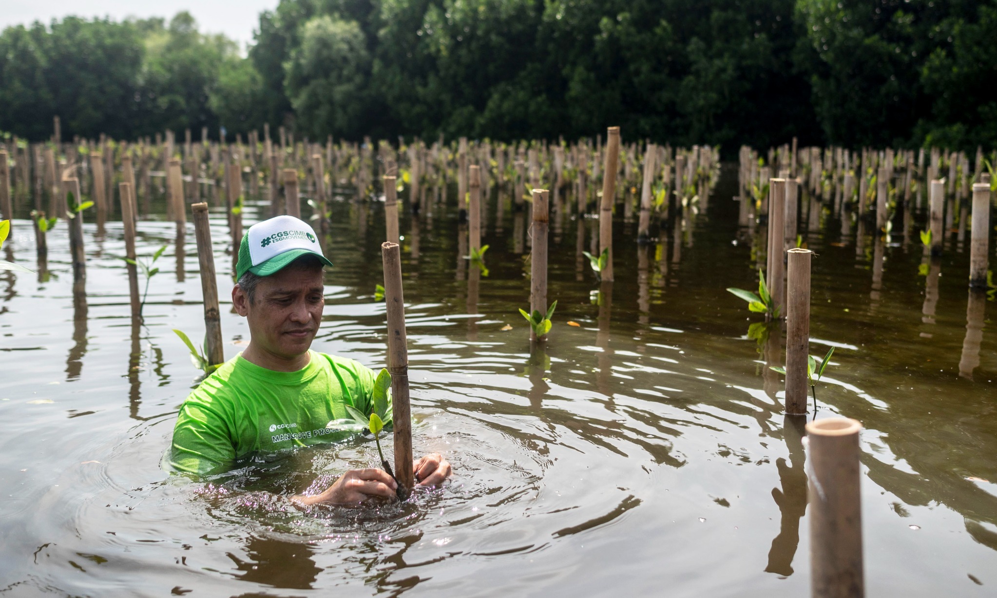 ATMI IGI Center - Solinatra Jalin Penelitian Plastik Untuk Mangrove