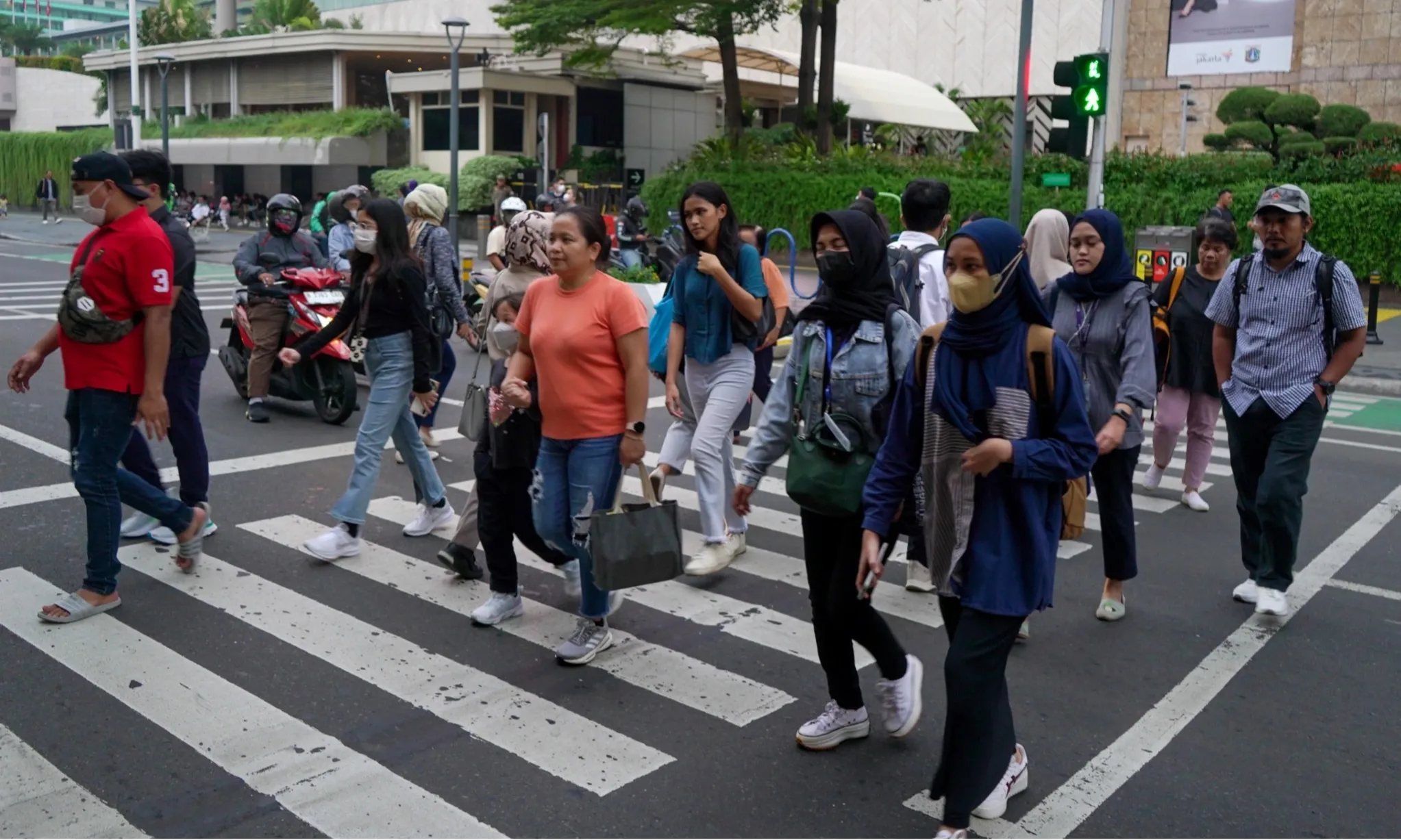 Mengenal Zebra Cross Dan Pelican Cross