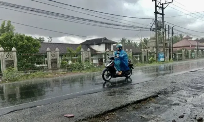 Waspada Penyakit Leptospirosis Saat Musim Hujan Waspada Penyakit Leptospirosis Saat Musim Hujan