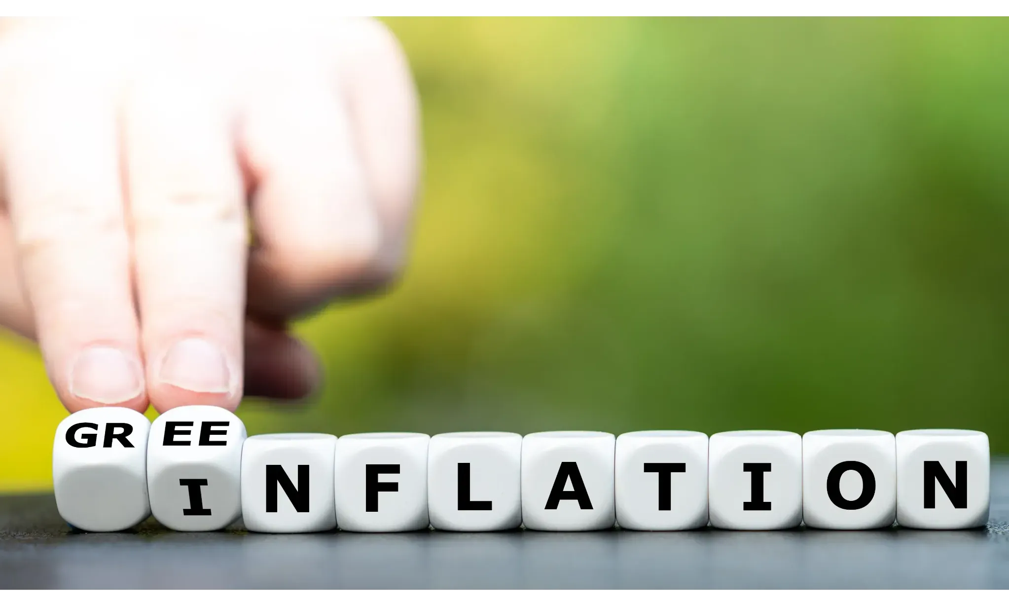 INDEF: Dampak Inflasi Hijau Masih Minim