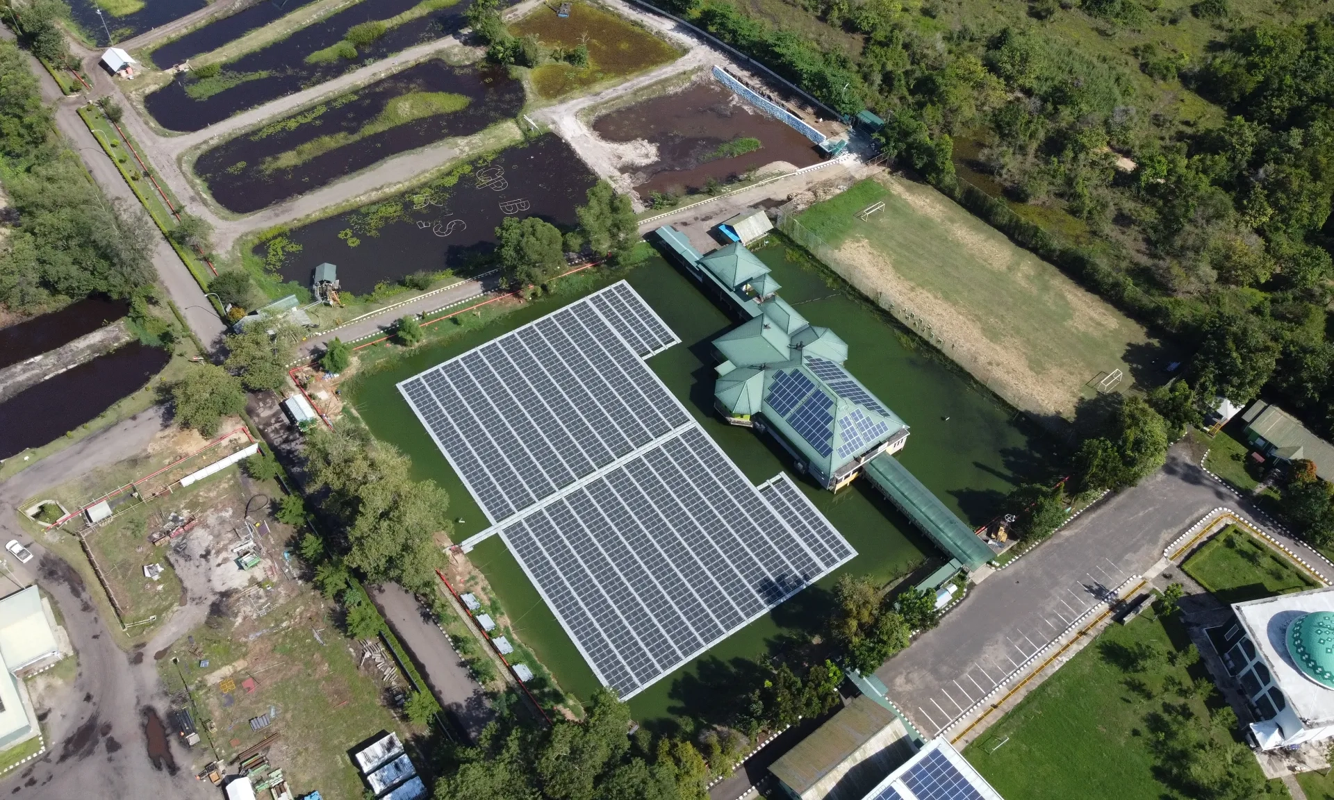 Sekjen ESDM: PLTS Adaro Di Kawasan Tambang Contoh Baik Efisensi Energi