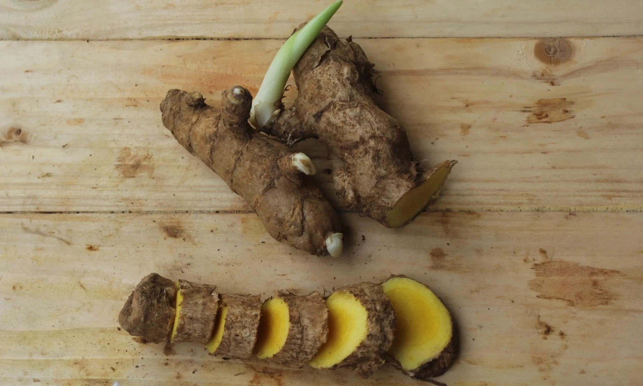 Mengenal Ragam Manfaat Temu Mangga