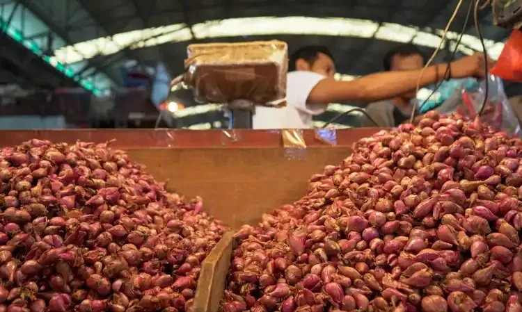 Lagi, BPS Catat Indonesia Alami Deflasi 0,08% Pada Juni 2024