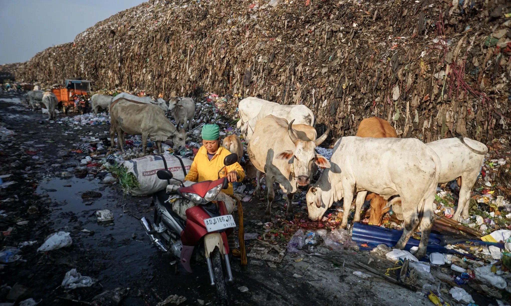KHLK Minta Daerah Tambah Penyuluh Lingkungan Hidup