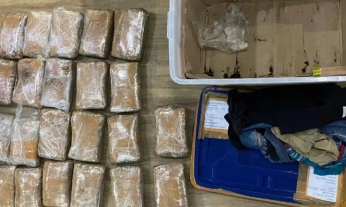 Pembawa Ganja 30 Kg Terancam Penjara 20 Tahun