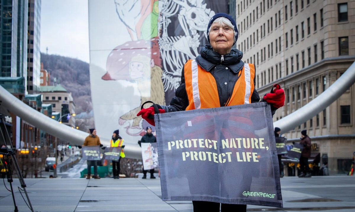 COP16 PBB: Perundingan Konservasi Alam Dunia Buntu Karena Komitmen ...