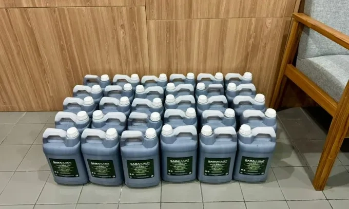 UGM Ubah Batu Bara Kalori Rendah Jadi Penyubur Tanah Dan Tanaman