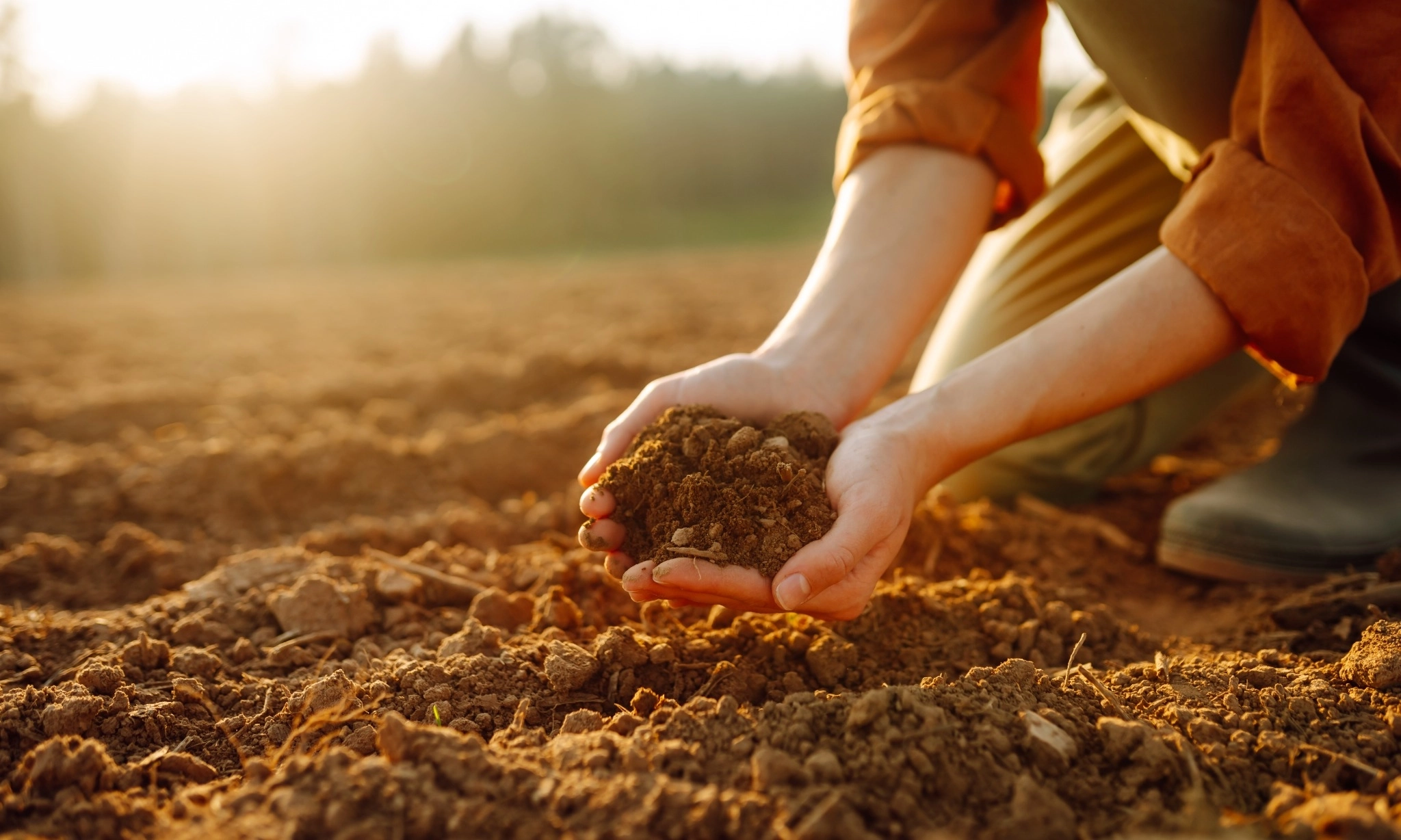 Tahukah Kamu Tanah Ternyata Ada Jenisnya?