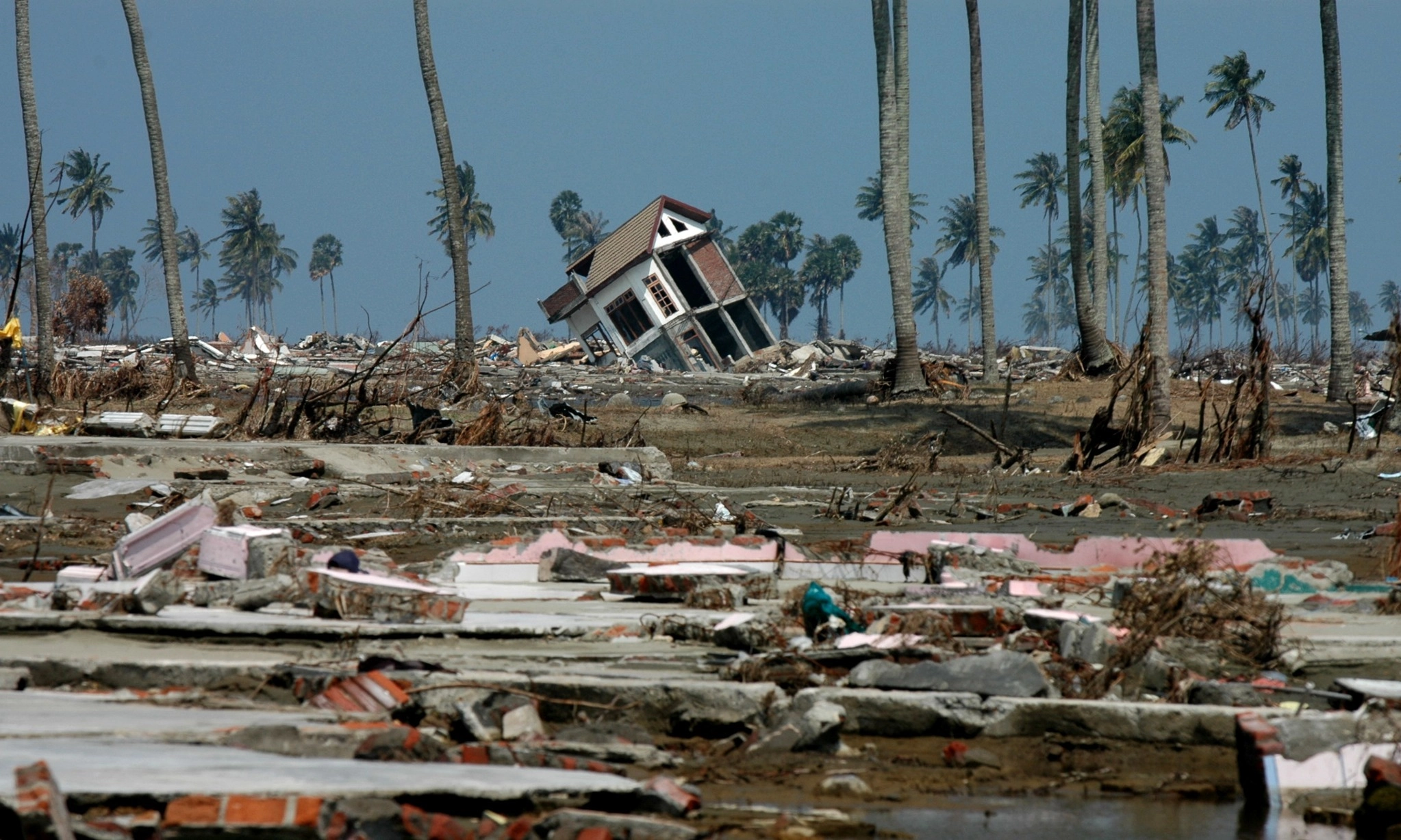 Smong; Kearifan Lokal Penyelamat Tsunami Di Aceh