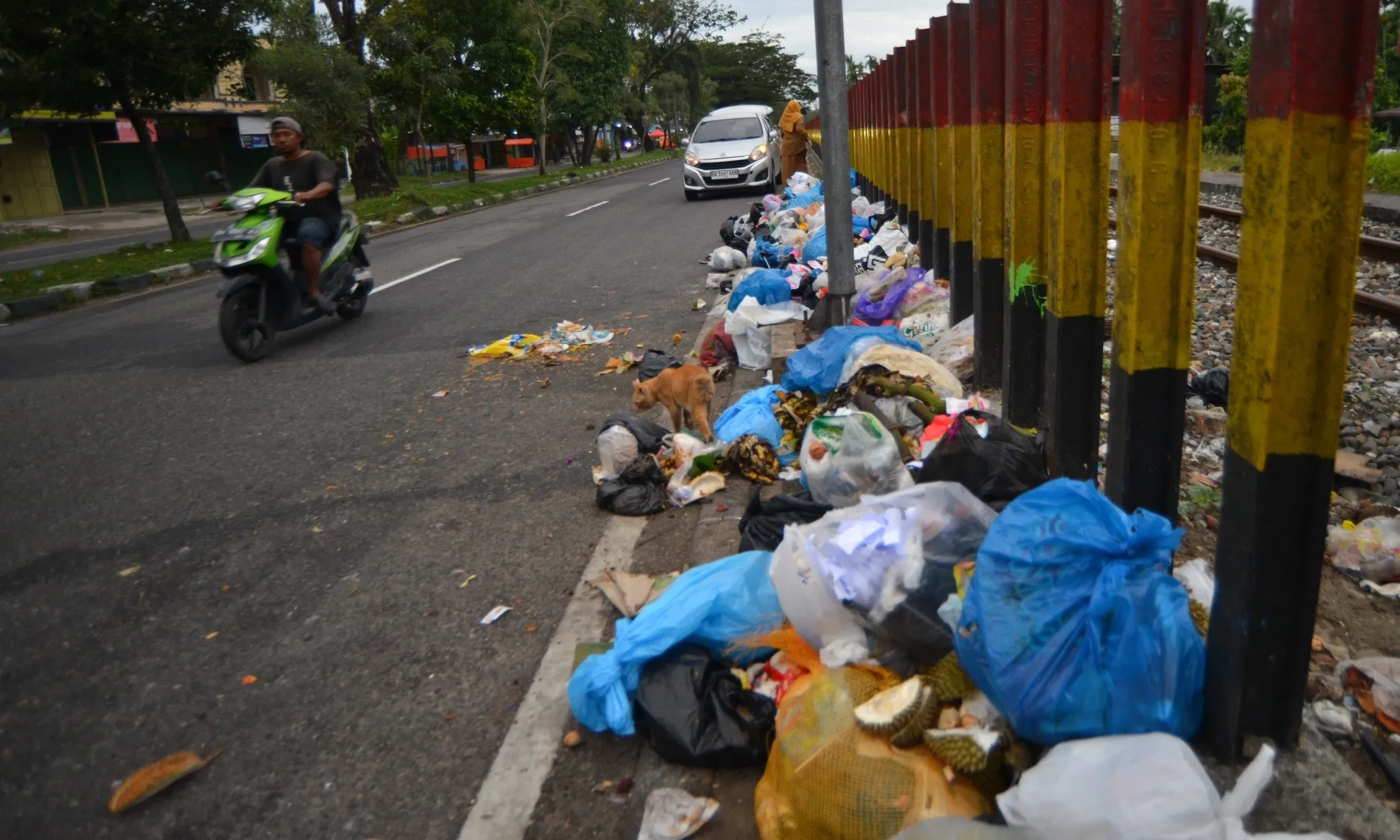 Ini Beragam Persoalan Pengolahan Sampah Di Berbagai Kota