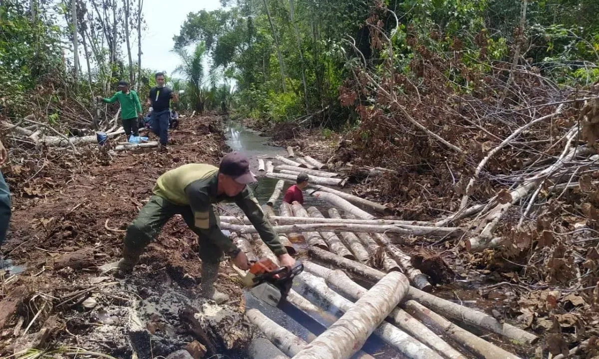 IFM Fund: Hutan Di Riau Butuh Pengawasan Pemerintah