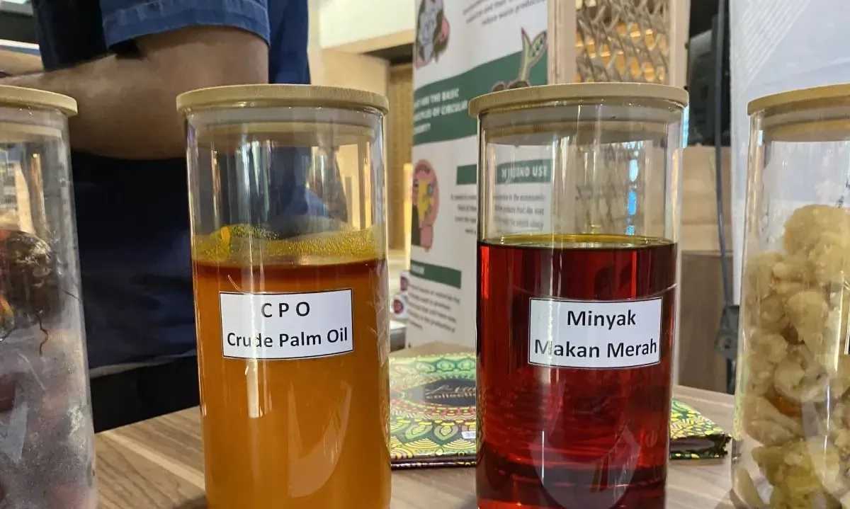 Kemendag: Harga CPO Periode Februari 2025 Melemah