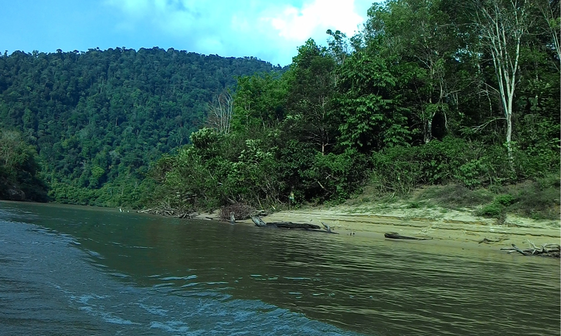 Strategi KLH Promosi Pasar Perdagangan Karbon Indonesia