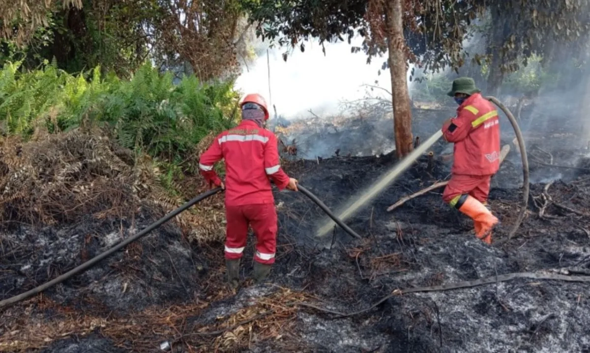 Polres Bengkalis Tetapkan Warga Tersangka Kebakaran Lahan