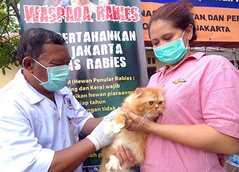 Menjaga Jakarta Bebas Rabies