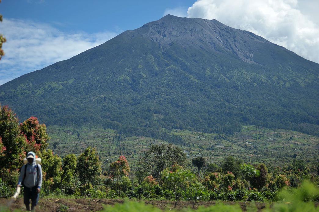 Kerusakan Taman Nasional Kerinci Seblat Capai 10%