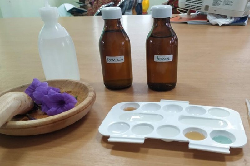 Bunga Ini Deteksi Bahan Pengawet Pada Makanan