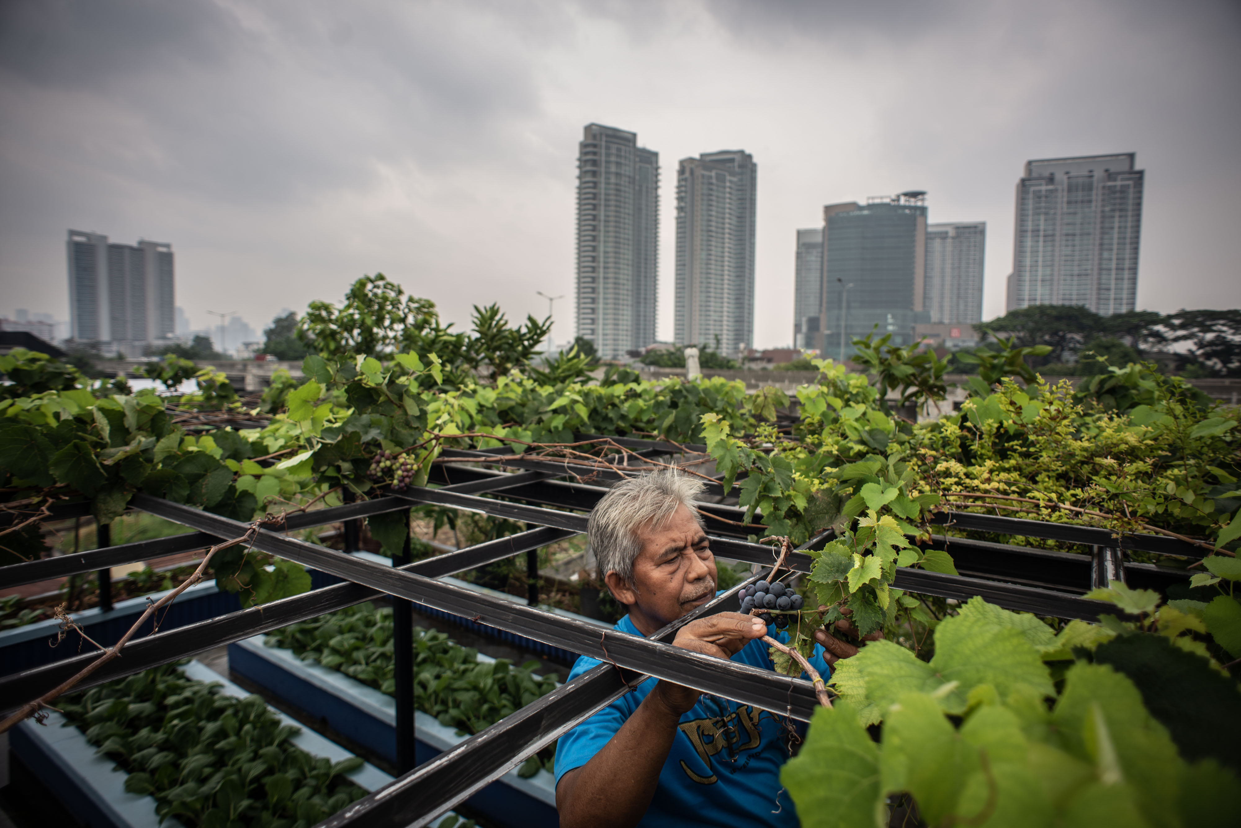 Mengendalikan Urbanisasi Dengan Teknologi Digital