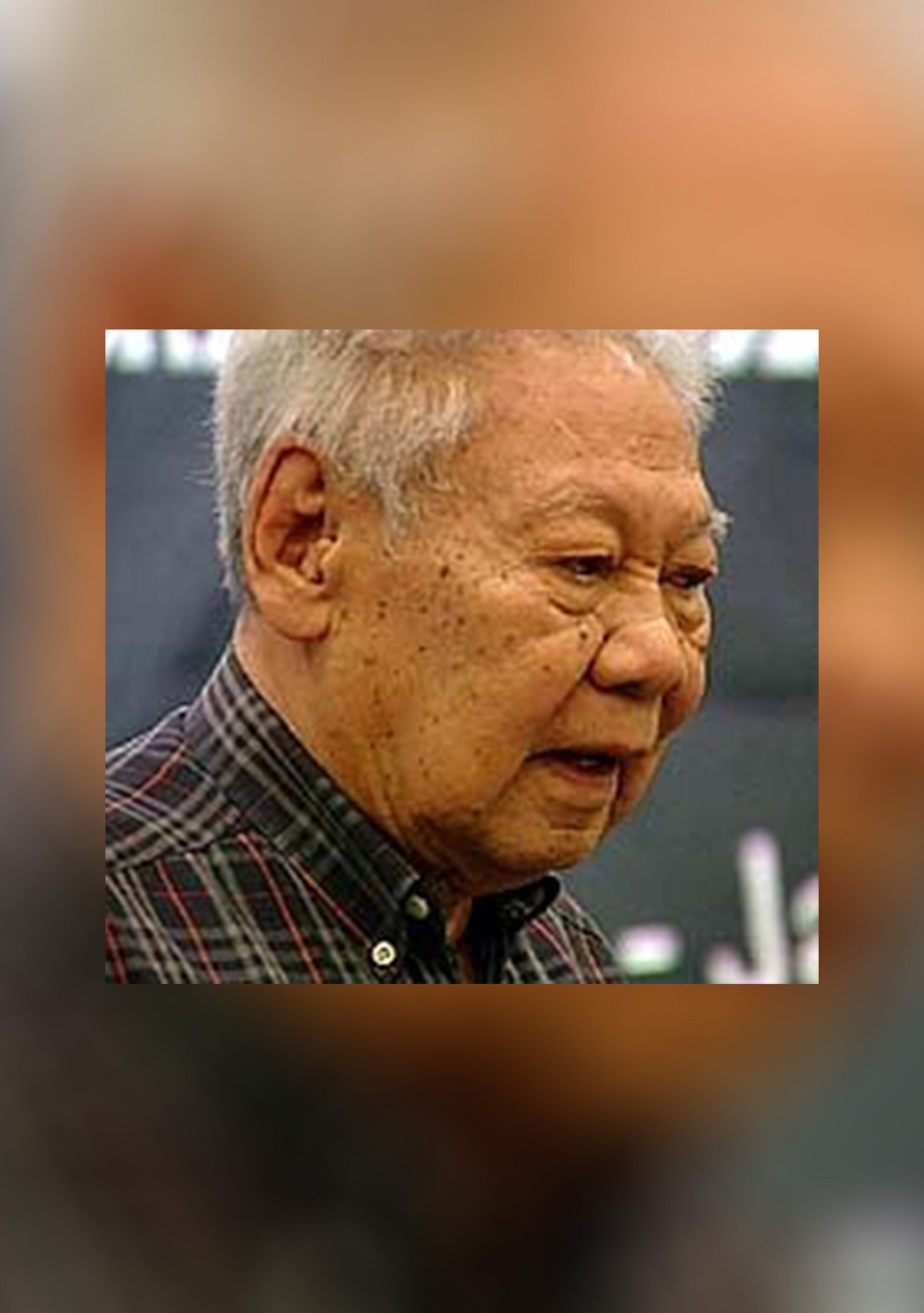 Sarbini Sumawinata, Pandangan Kritis Ekonom Sosialis