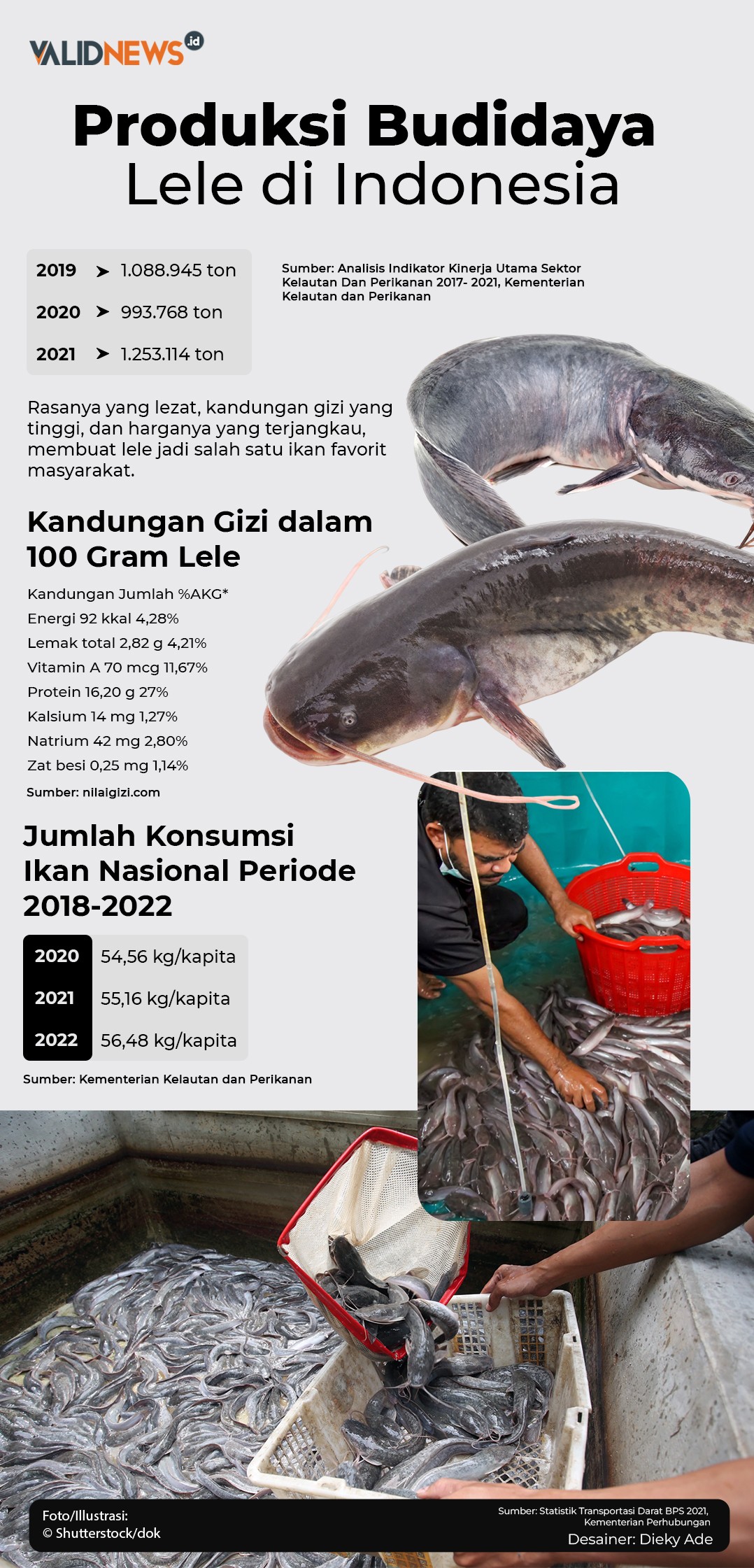 Produksi Lele Budidaya di Indonesia