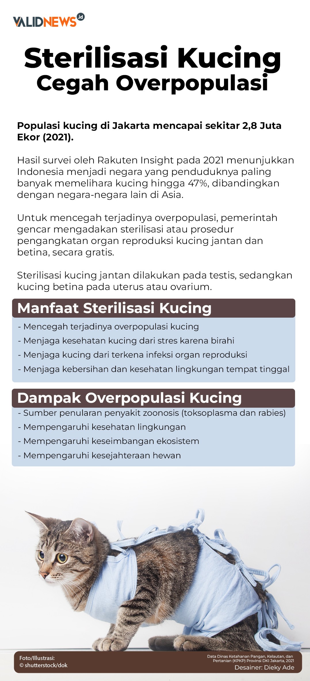 Sterilisasi Kucing Cegah Overpopulasi