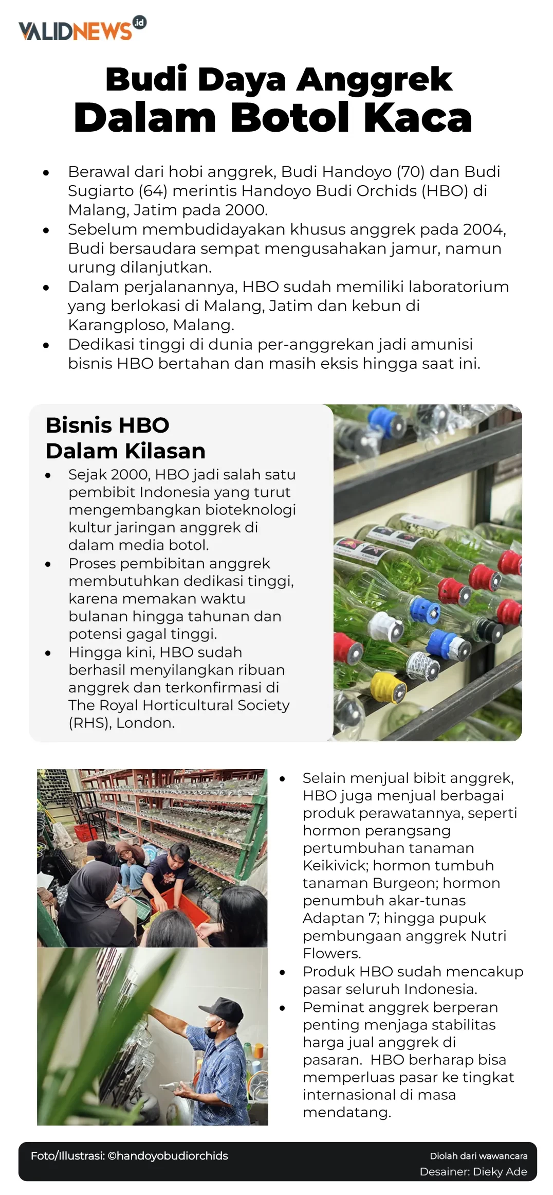 Budi Daya Anggrek Dalam Botol Kaca