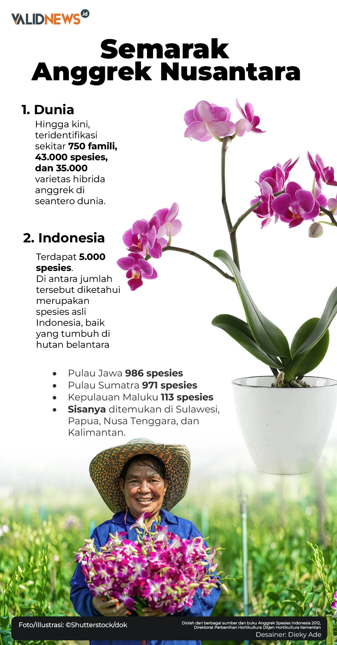 Semarak Anggrek Nusantara